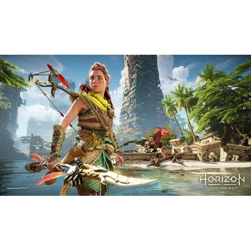 GamePood.ee — Osta mäng Horizon Forbidden West PS4/PS5 taskukohase ...
